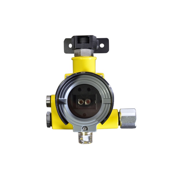 Flameproof dual-wavelength infrared flame detector